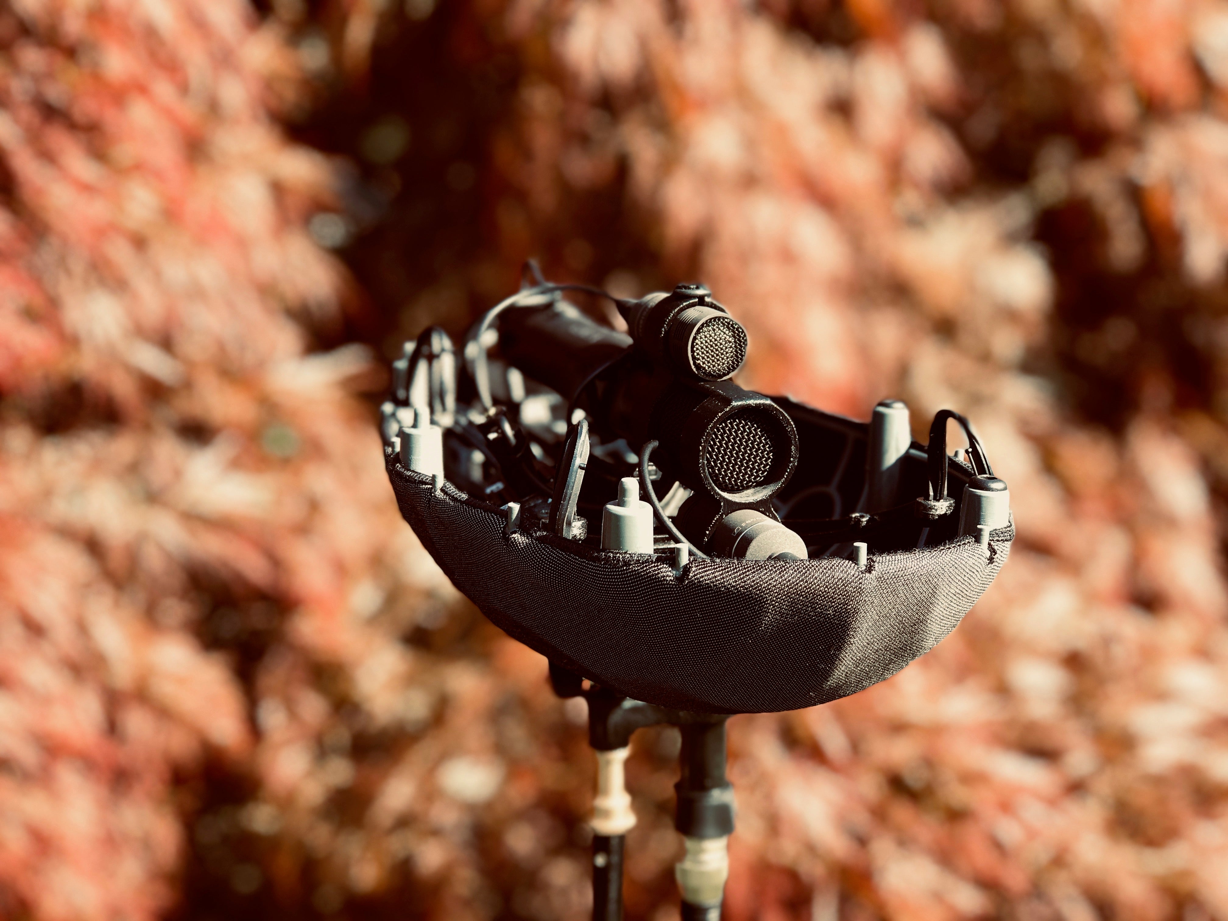 Reconnecting to the Sounds of Nature with Sennheiser Microphones ...