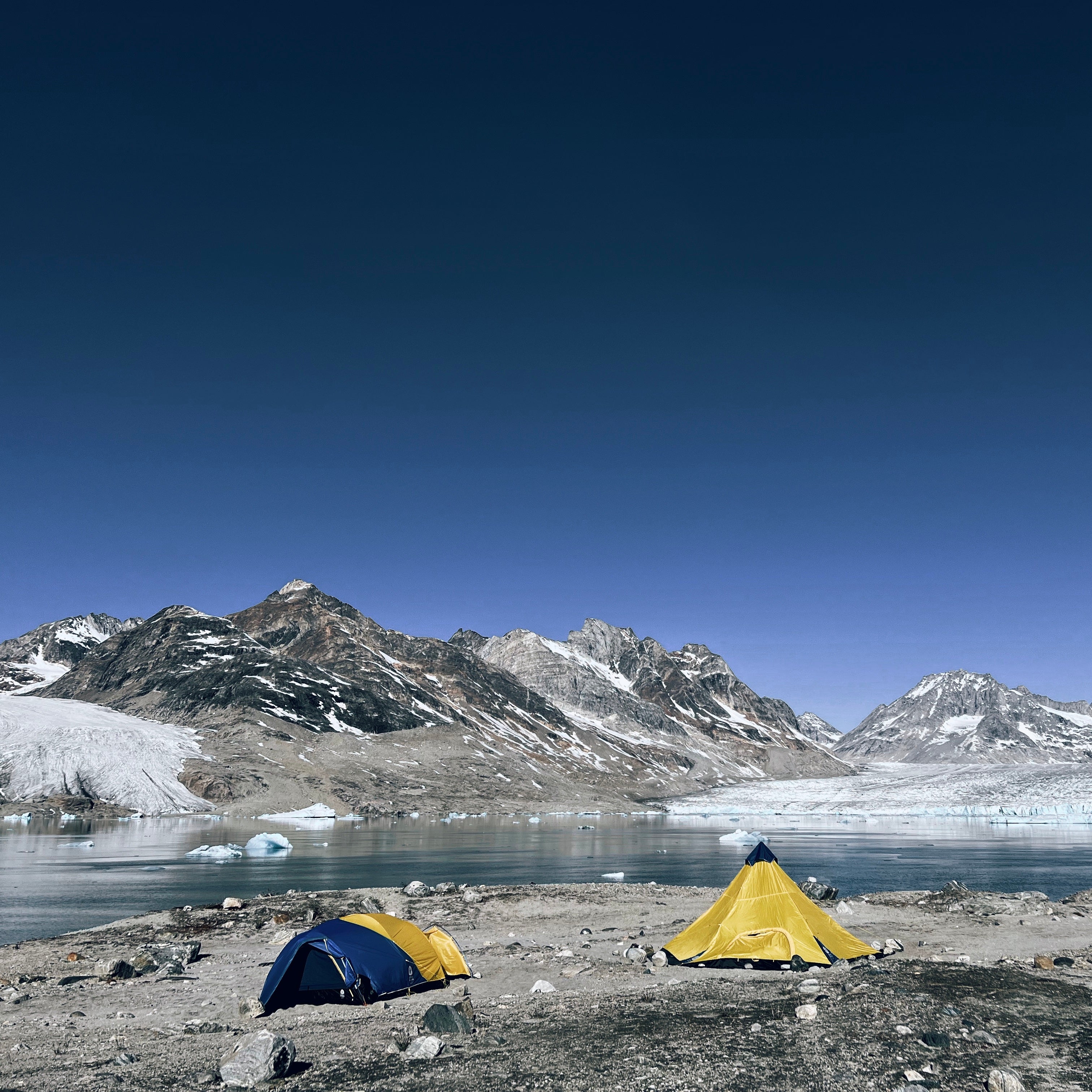 Coming Soon & Recent – Thomas Rex Beverly Audio