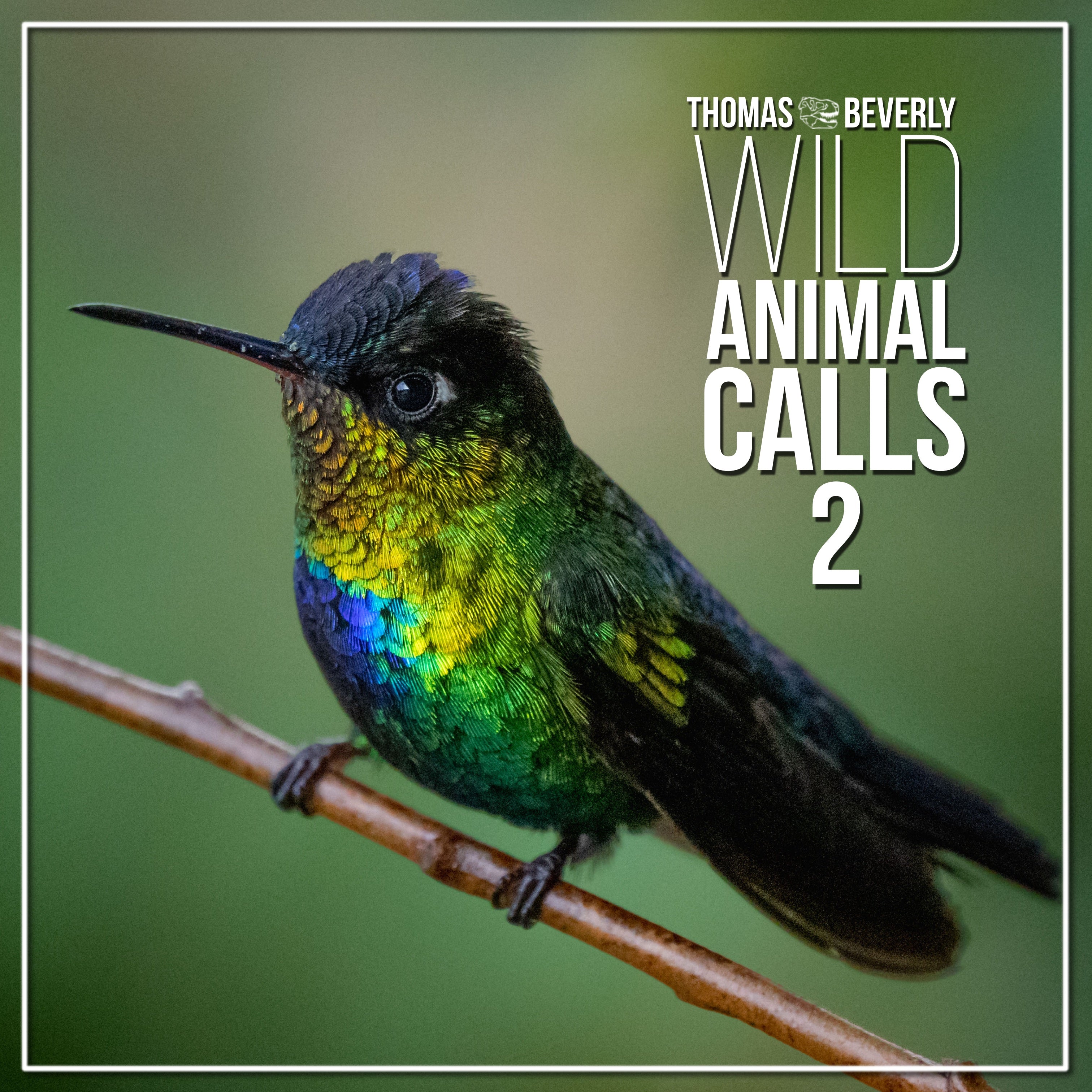 SD37 Wild Animal Calls 2 – Thomas Rex Beverly Audio