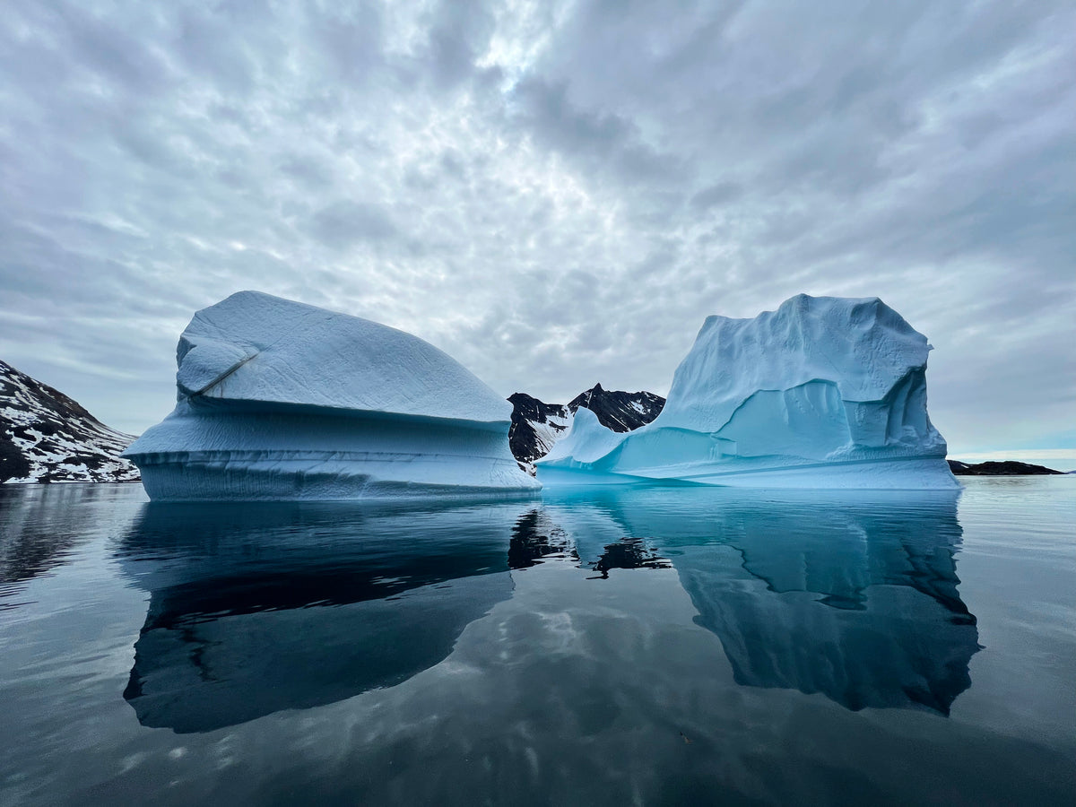 THOMAS REX BEVERLY – Nature Sound Libraries + Composer – Thomas Rex ...