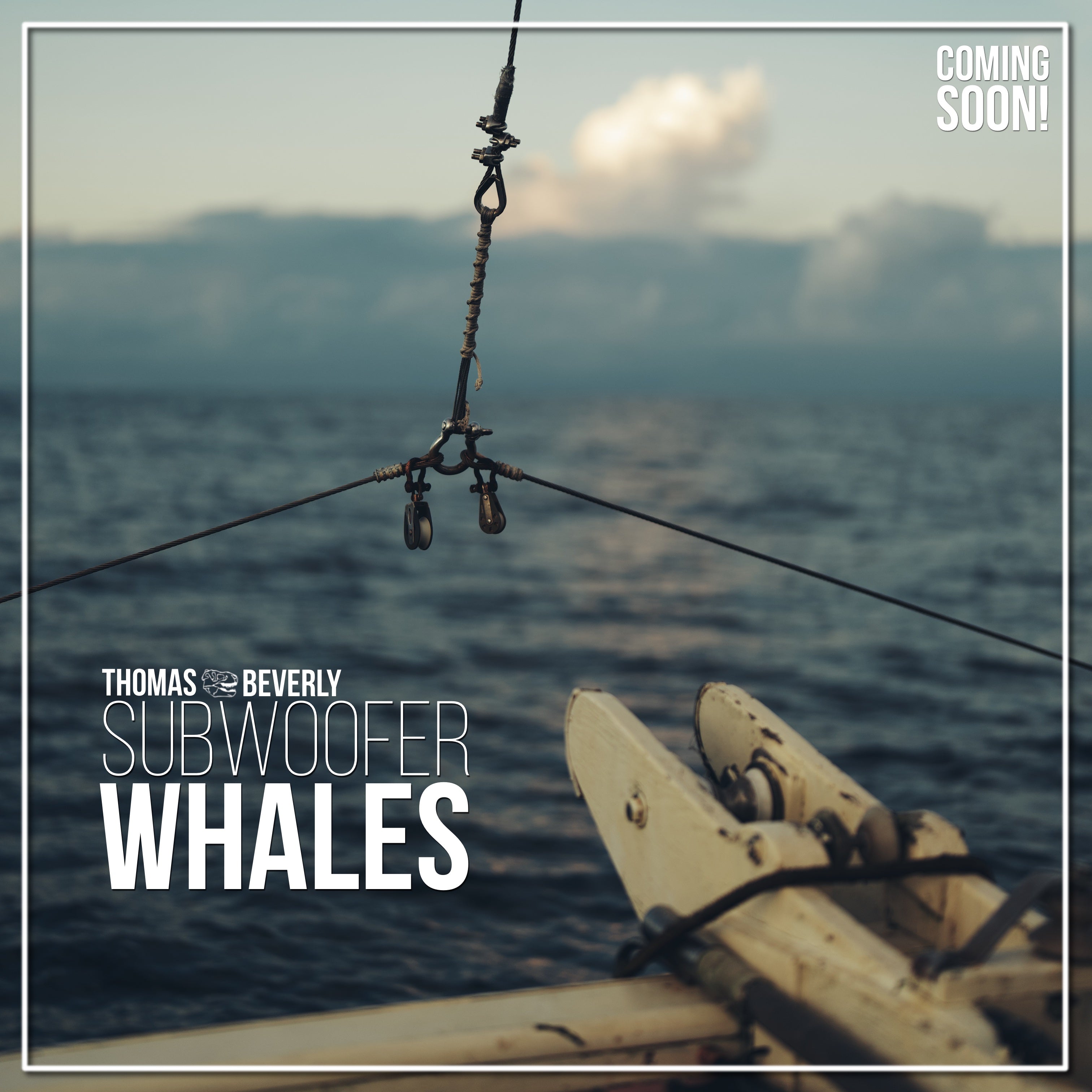 SD44 Subwoofer Whales – Thomas Rex Beverly Audio