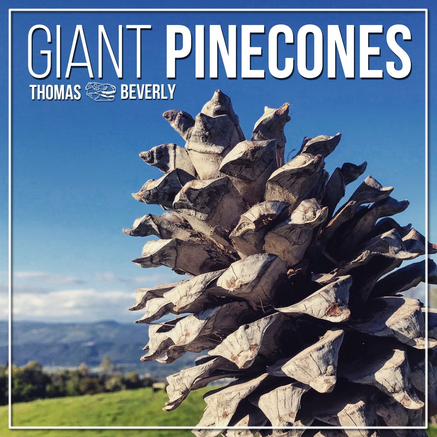 SD16 Giant Pinecones – Thomas Rex Beverly Audio