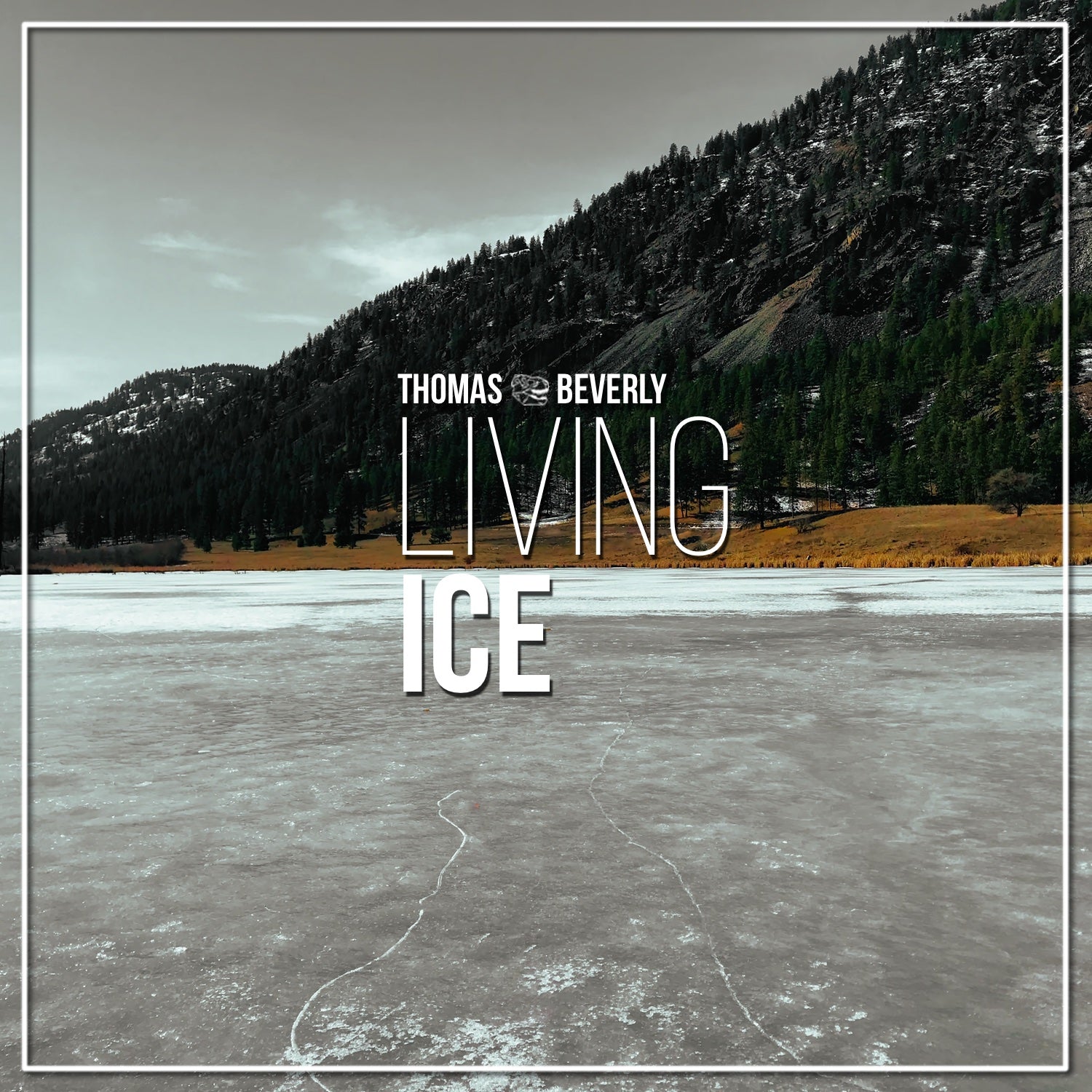 SD28 Living Ice – Thomas Rex Beverly Audio