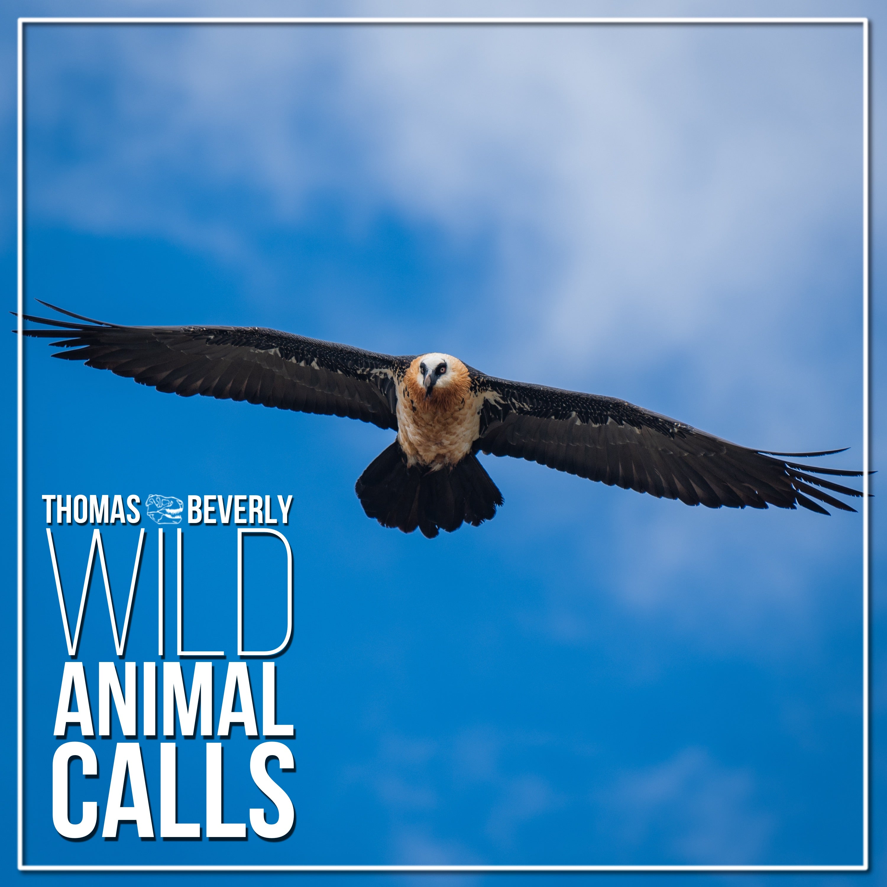 SD25 Wild Animal Calls – Thomas Rex Beverly Audio
